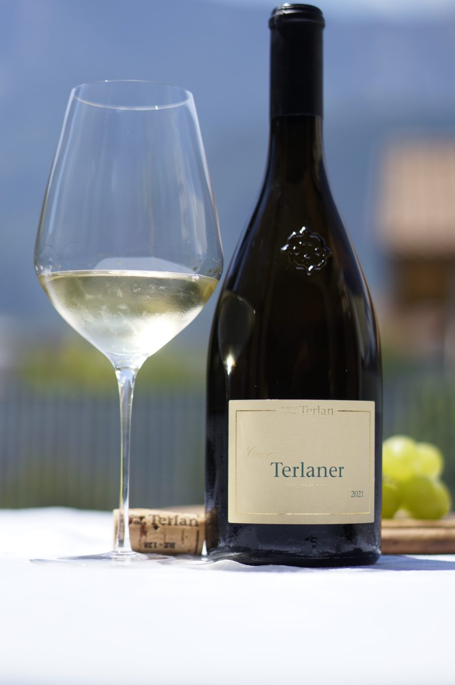 Cantina Terlano crea il calice “Precision” - L'angolo del gusto en rose