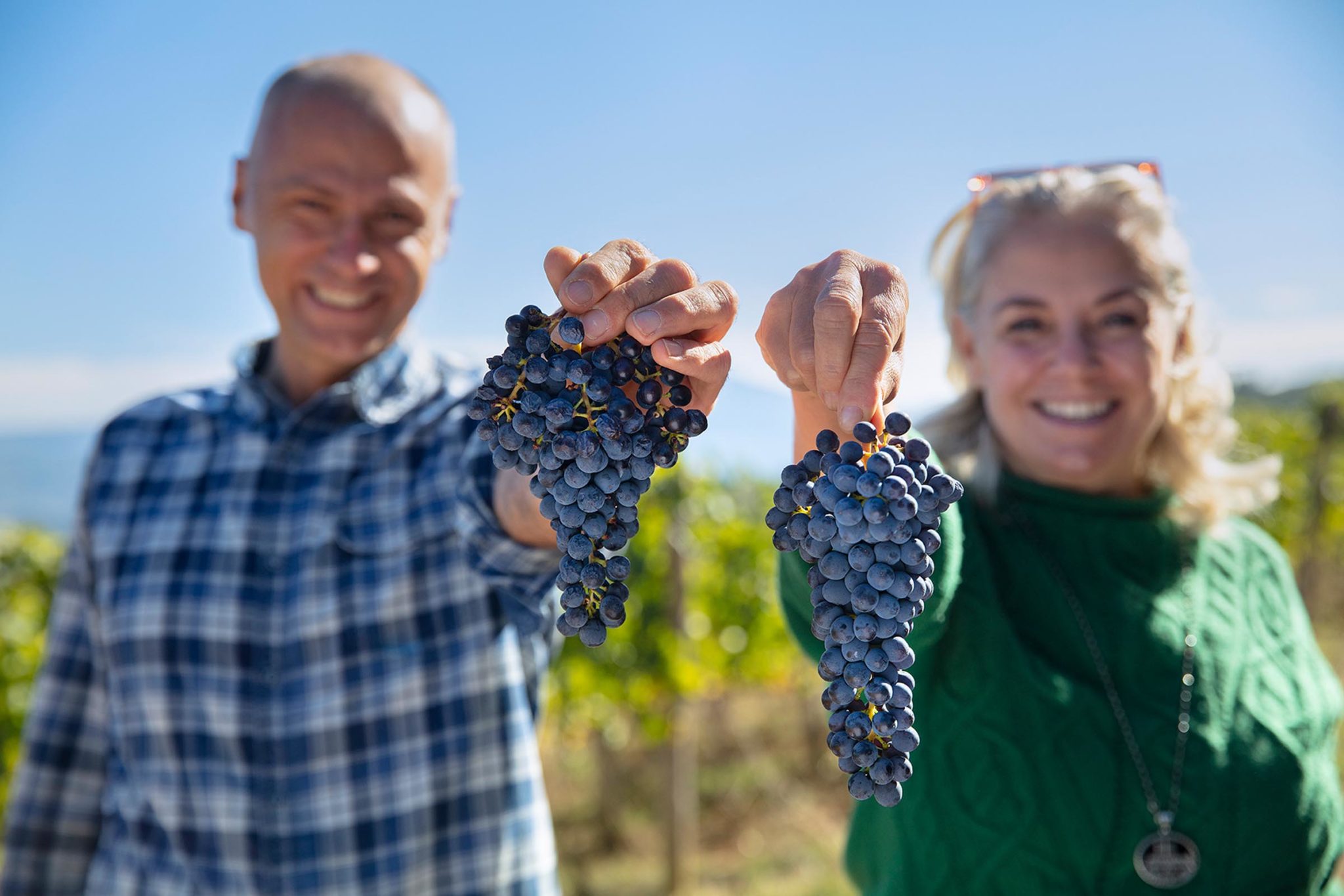 Emilia Nardi produttrice a Montalcino dal cuore umbro - L'angolo del ...
